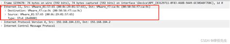 6 3 5 利用wireshark进行协议分析（五） 捕获并分析icmp报文 wireshark只捕获icmp数据包 csdn博客