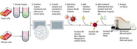 Ique® Human T Cell Killing Kit Intellicyt