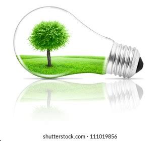 Light Bulb With Tree Inside Images Stock Photos Vectors Shutterstock