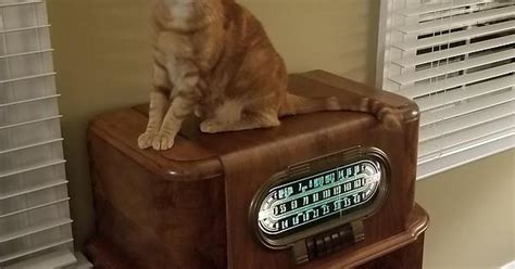 say hello to hugo album on imgur