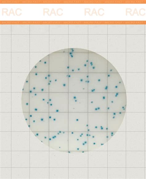 Microfast Premium Yeast And Mold Count Plate Phoenix Scientific Co Ltd