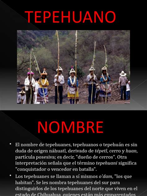 Cultura Y Tradiciones De Los Tepehuanes Pdf
