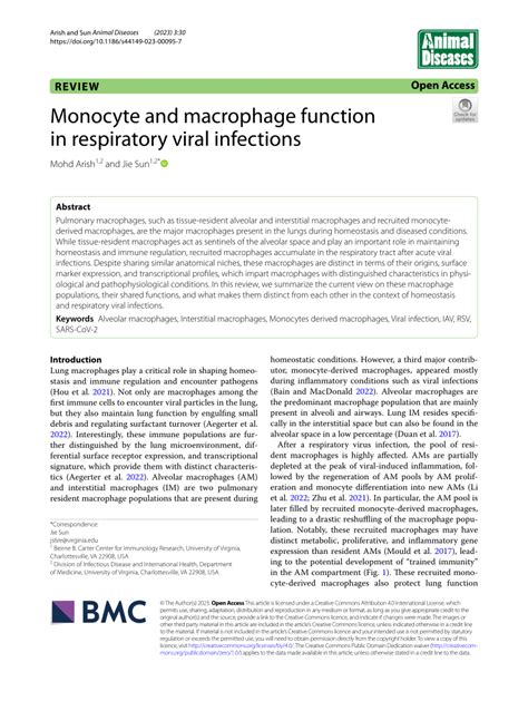 Pdf Monocyte And Macrophage Function In Respiratory Viral Infections