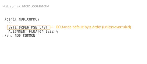 A2l File Explained Xcp On Can A Simple Intro [2025] Css Electronics