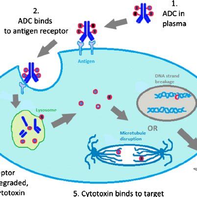 Pdf Current Adc Linker Chemistry