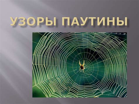 Узоры паутины. Изо - online presentation