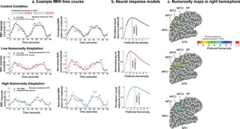 Example Fmri Time Course A Neural Response Models B And Download Scientific Diagram