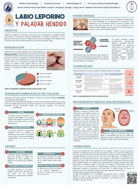 Ejemplo Cartel Pdf Odontología Especialidades Medicas