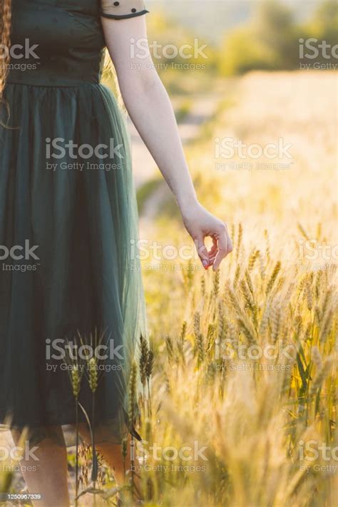 필드에서 걷고 녹색 드레스의 아름다운 여자는 일몰 빛에 손으로 밀의 귀를 만지고 긴 머리를 가진 소녀는 여름 자연을 즐기고