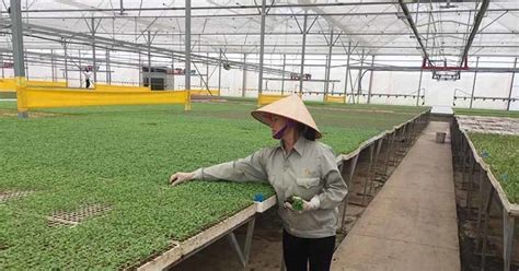 weak property rights clip wings of enterprises