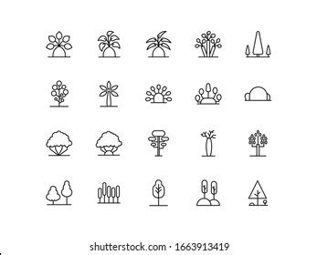 Tree Vector Line Icon Set Naturally Stock Vector Royalty Free