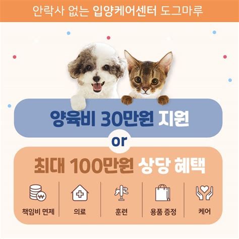 입양 시 양육비 지원 Or 최대 100만원 혜택 제공🎁 도그마루 메디컬센터
