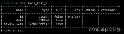 Flinkcdc Hudimysql数据实时入湖全攻略一：初试风云check For Conflicting Dependencies With ` Ylog Cla Csdn博客