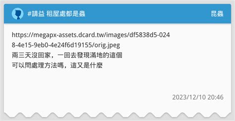 請益 租屋處都是蟲 昆蟲板 Dcard
