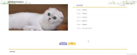 基于springbootvue的流浪猫狗救援网站设计与实现源码lw数据库讲解 Csdn博客