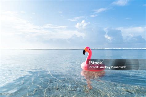 투명 청록색 바다에 떠있는 팽창식 분홍색 플라밍고 배경에 구름이 거의 없는 푸른 하늘 수영장 플로트에 대한 스톡 사진 및 기타 이미지 수영장 플로트 플라스틱 플라밍고