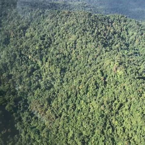 [video] Ranitha Mendis Posted On Linkedin