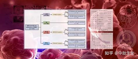 邵志敏教授团队治疗三阴性乳腺癌新突破：总人群的orr提升至298 知乎