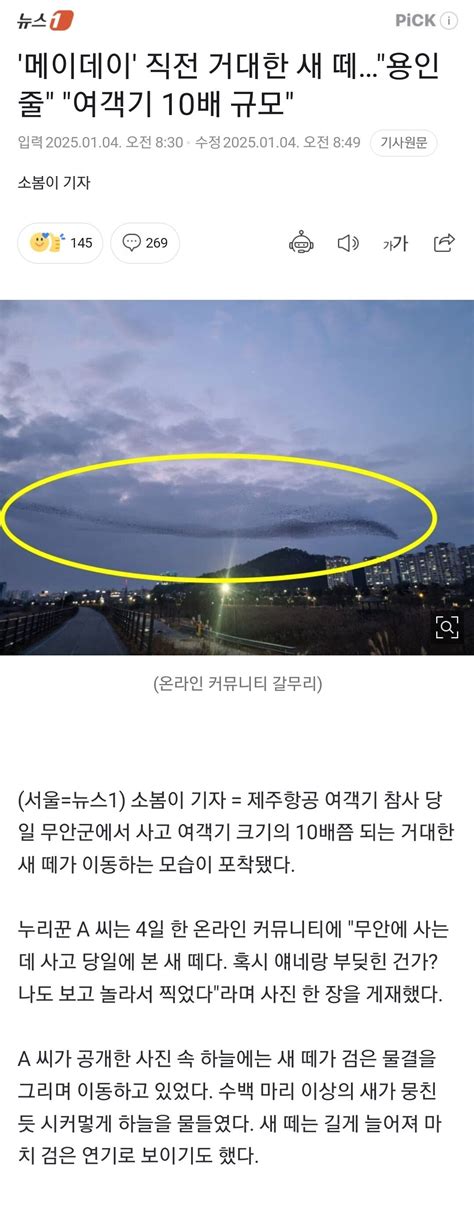 메이데이 직전 거대한 새 떼…용인 줄 여객기 10배 규모 유머 움짤 이슈 에펨코리아