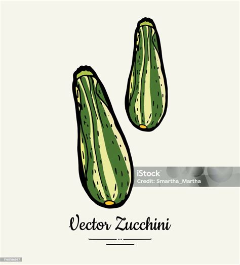 호박은 손으로 그린 그림 스트라이프 스쿼시의 힙 스 터 그림 채식 포스터 요리 학교 레스토랑 메뉴 로고 아이콘 식품가 게 추수