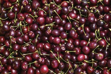 Bing Cherry Garden