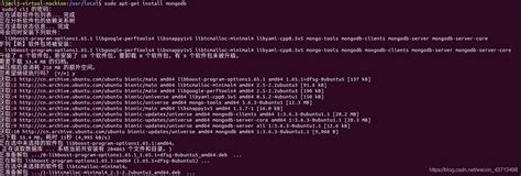 ubuntu18 04安装mongodb csdn博客