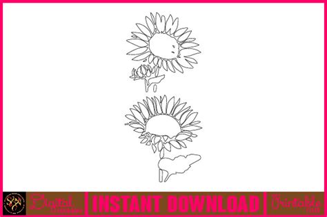 Sunflower Line Art Flower Svg Elements 8 Graphic By Best Design Bundle