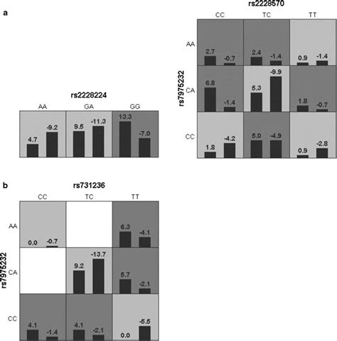 Graphical Presentation Of The Best Identified Multi SNP Interaction Download Scientific Diagram