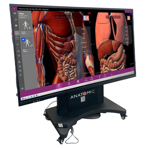 Produtos Anatomic Produtos Anatômicos