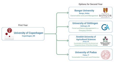 Programme Structure Sufonama