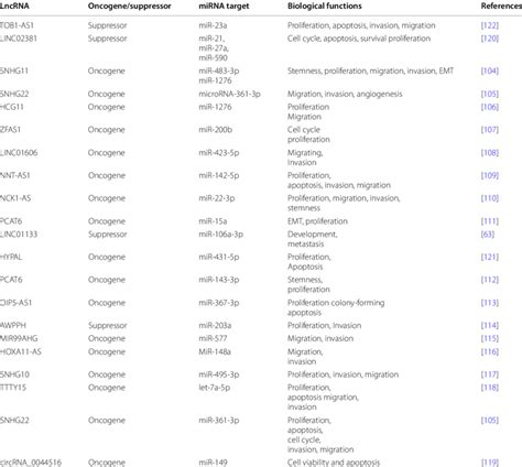The list of lncRNAs involved in Wnt β catenin signaling pathway via