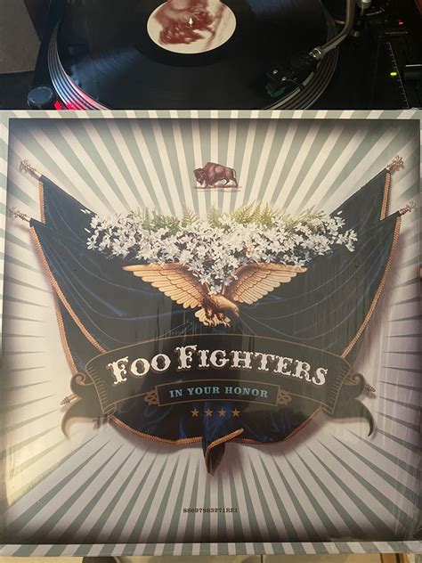 Foo Fighters In Your Honor The Foo Fighters Always Deliver A Good