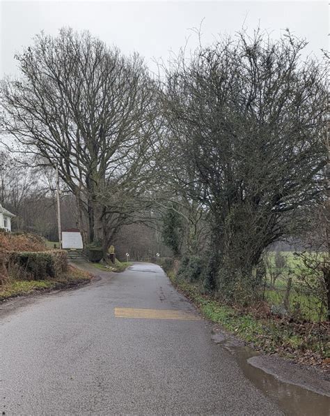 January View Of Deciduous Trees In Rural © Jaggery Geograph