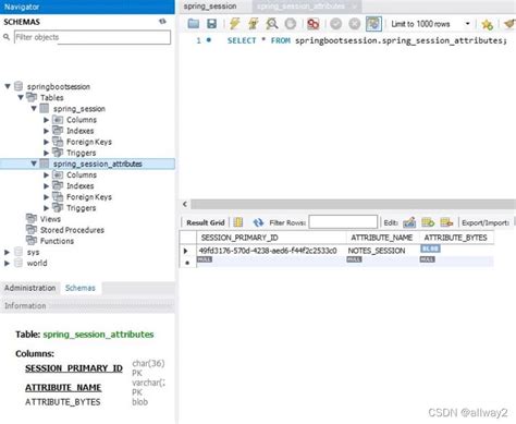 spring boot session 会话管理示例 springboot session管理 csdn博客