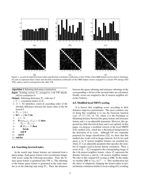 Adaptive Substring Extraction And Modified Local Nbnn Scoring For Binary Feature Based Local