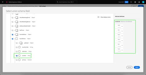 Profile Detail Customization In The Ui Adobe Experience Platform