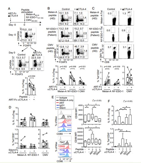 Differential Control Of Human Treg And Effector T Cells In Tumor