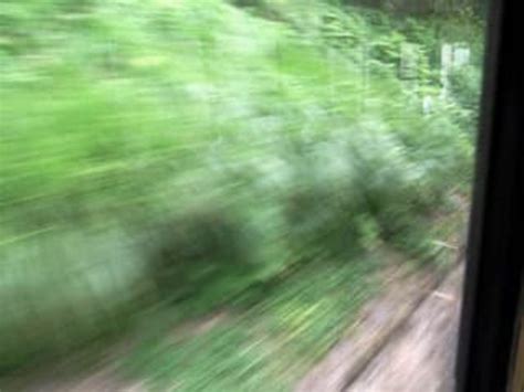 流れて行く風景 C E L L O L O G U E