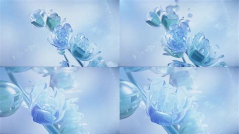 C4d花朵盛开鲜花花朵生长动画c4d模型下载