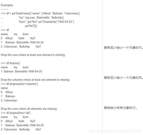 Pandas Dataframe 删除带空值的行 各种空值 Dropna、isna、isnull、fillnadropna 包括字符串空值 Csdn博客