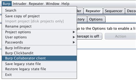 Using Burp Collaborator Client Portswigger