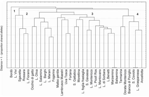 Dendrogram Generated By Upgma Cluster Analysis Of The Genetic