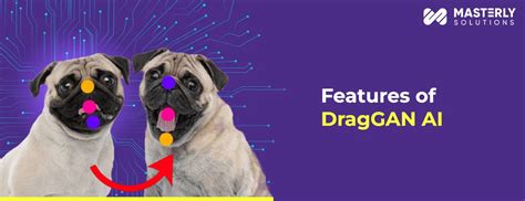 Software Development Company In Ahmedabad Masterly Solutions