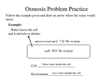 Osmosis Practice Problems By Huynh Ing TPT