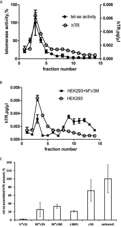Amount Of Htr Incorporated Into Telomerase Complex A Distribution Of