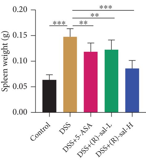 R Sal Improved The Symptoms On Repeated Dss Induced Chronic Colitis Download Scientific