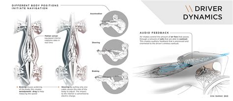 Sentire Design Meets Biology On Behance