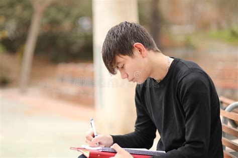 Concentrated Teenager Doing Schoolwork Sitting On A Park Bench Stock