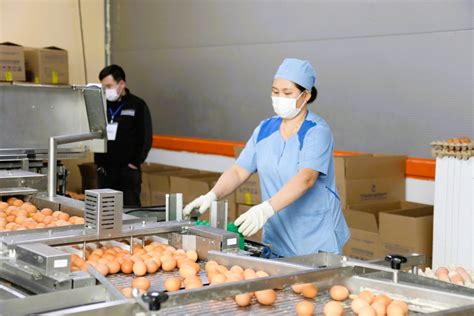 Аз жаргалыг үйлдвэрлэж буй “Түмэн шувуут” ХК хүнсий хувьсгалд нэгдлээ Хүнсний хувьсгал