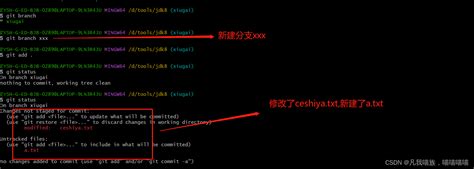 Git命令的基本使用（二） 分支管理 Csdn博客